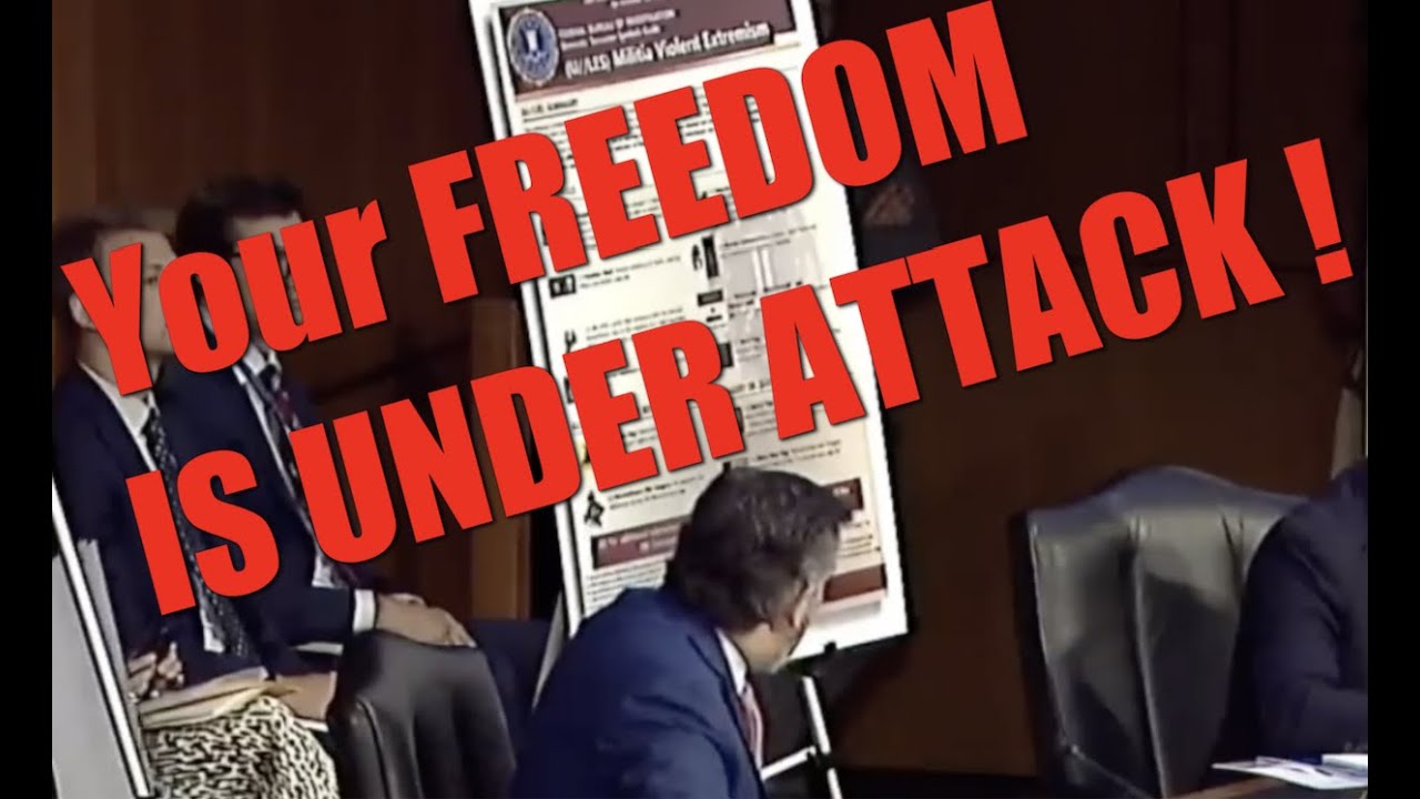 Your FREEDOM is under ATTACK (NOT Click Bait): Patriots ARE NOT ...