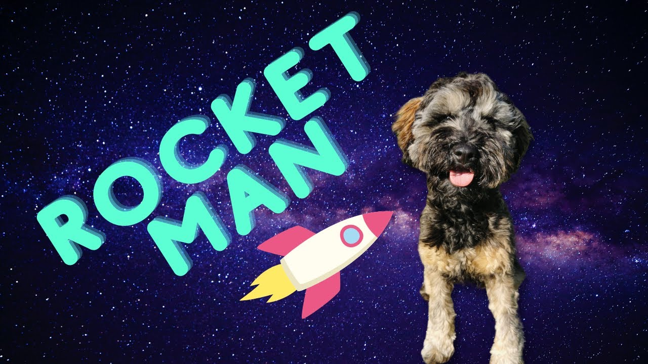 Our little Rocket Man! - YouTube