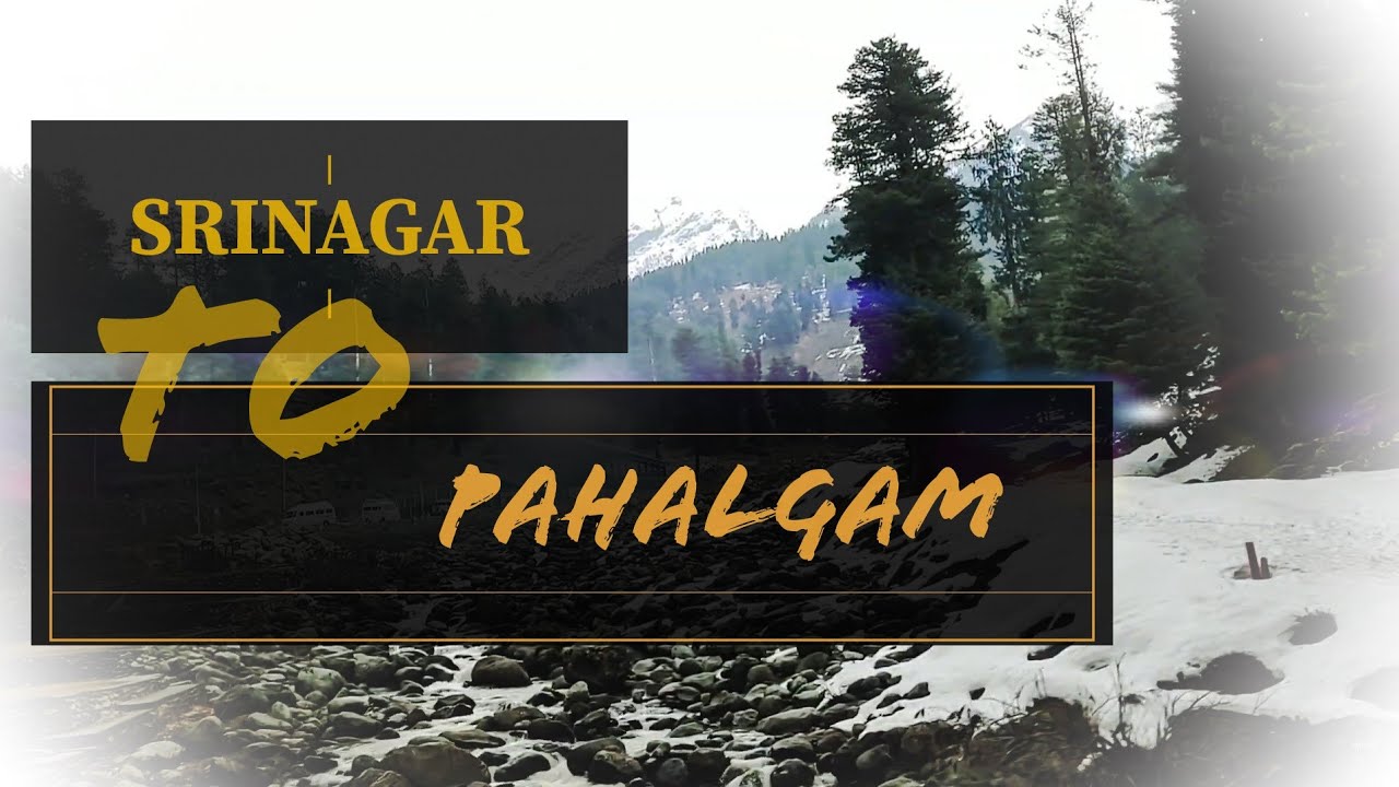 Pahalgam | Apple Garden | Bat Factory kashmirtourism, Kashmir in ...