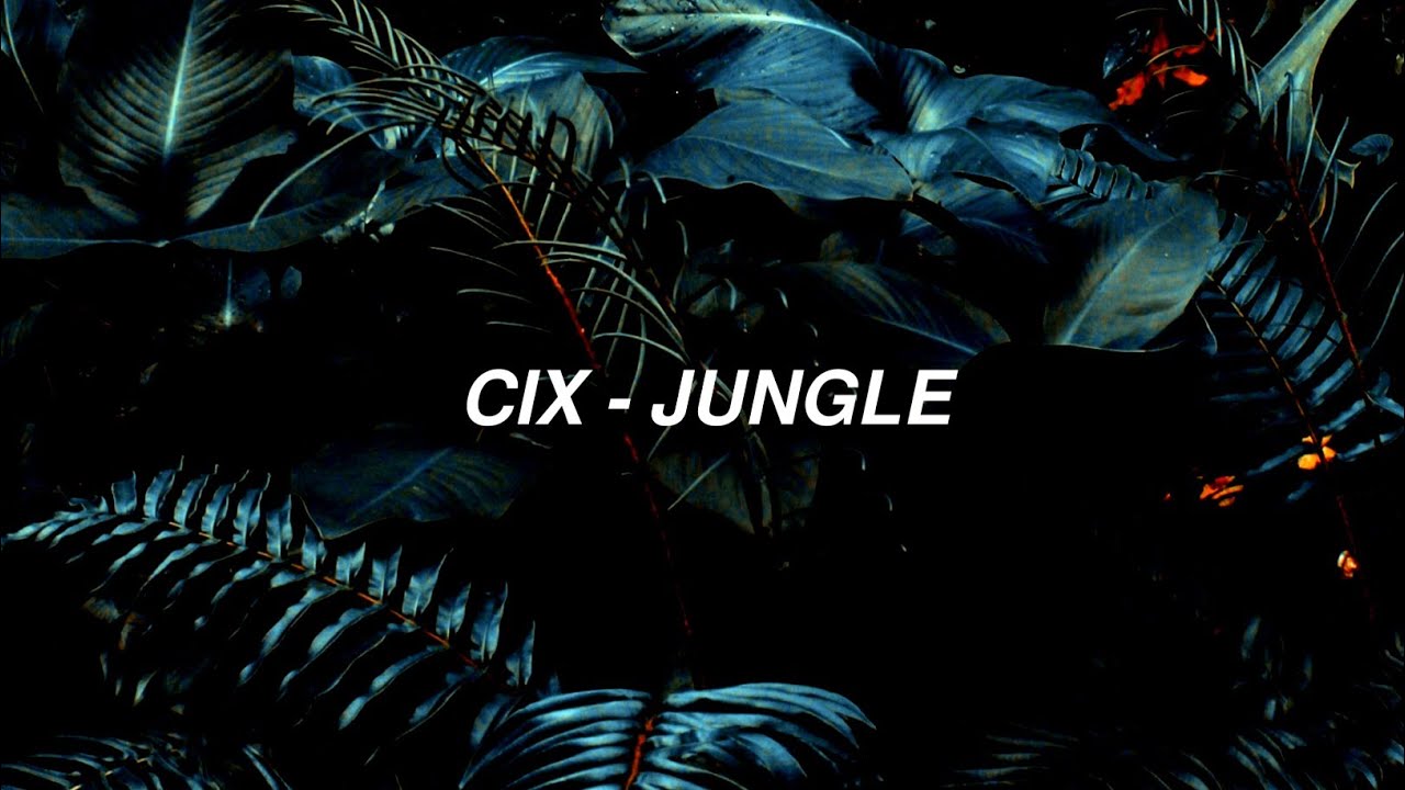 CIX(씨아이엑스) Jungle 'Easy Lyrics - YouTube