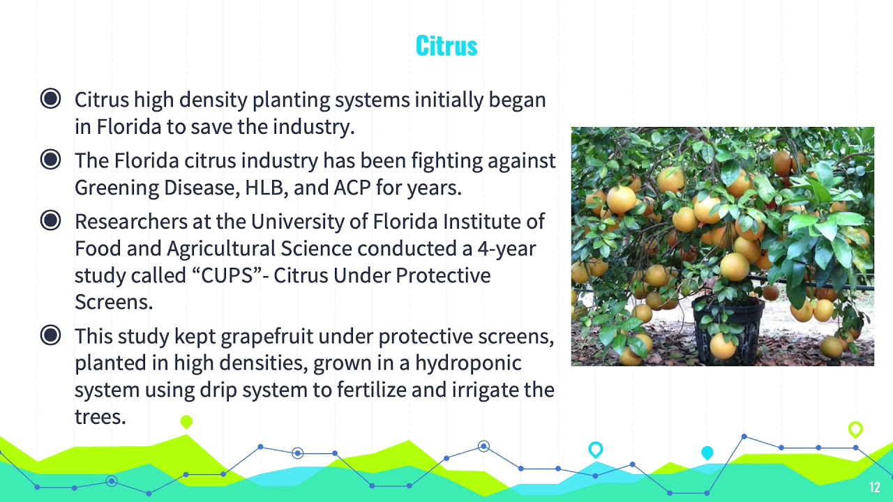 High Density Planting Systems - YouTube