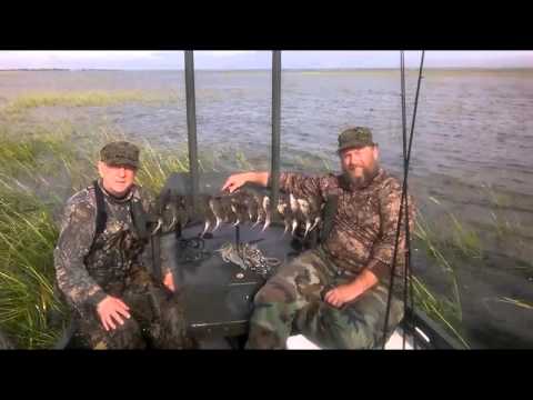 Marsh Hen / Rail Bird Hunter's AMAZING Hunt - YouTube