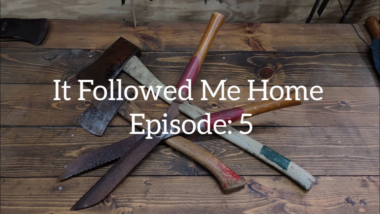 It Followed Me Home Episode: 5 - YouTube