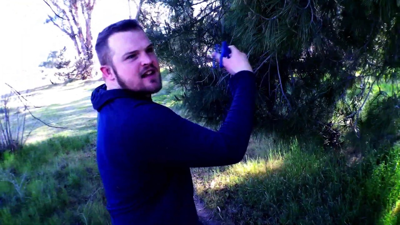 "I Run with Scissors" OFFICIAL MUSIC VIDEO - YouTube