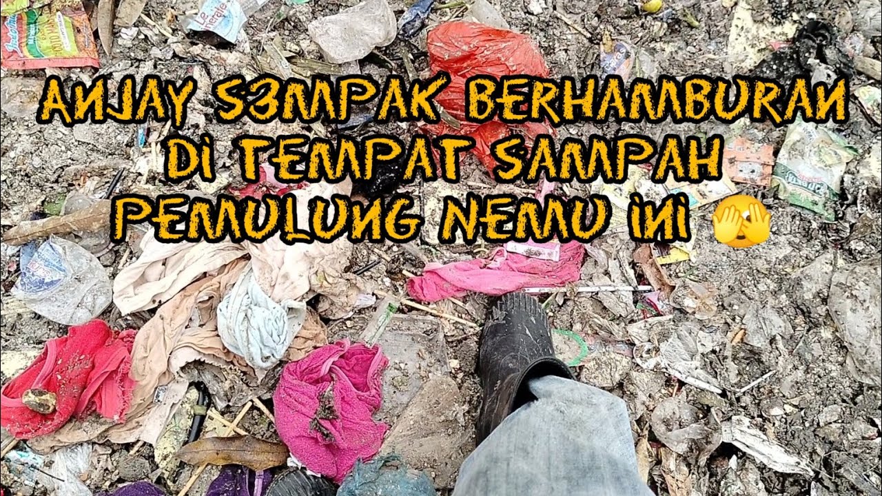 Anjay s3mpak berhamburan Di tempat sampah Pemulung Nemu ini 🫣 - YouTube