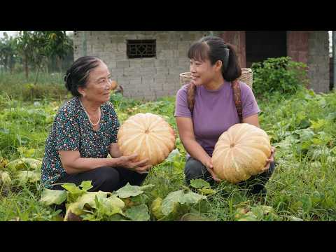 Harvesting giant gourds - small family makes delicious traditional dishes from gourds.