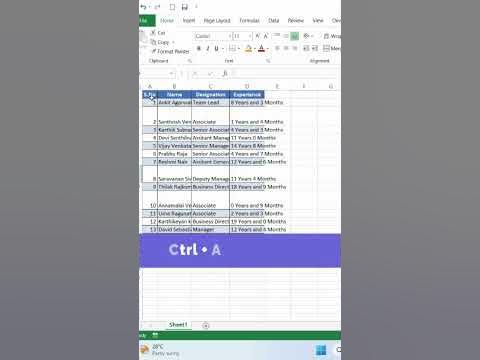 How to Auto Fit columns in Microsoft Excel? - YouTube