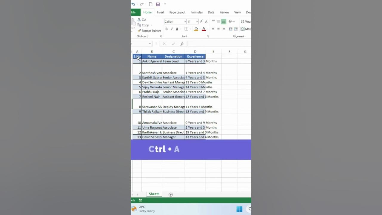 How to Auto Fit columns in Microsoft Excel? - YouTube