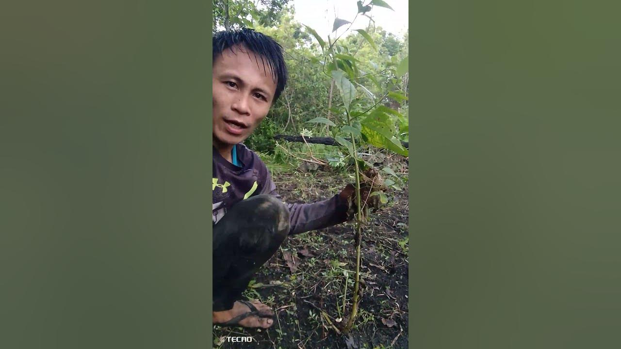habang nagunita akong itlog at tatlong pirasong kabilog - YouTube