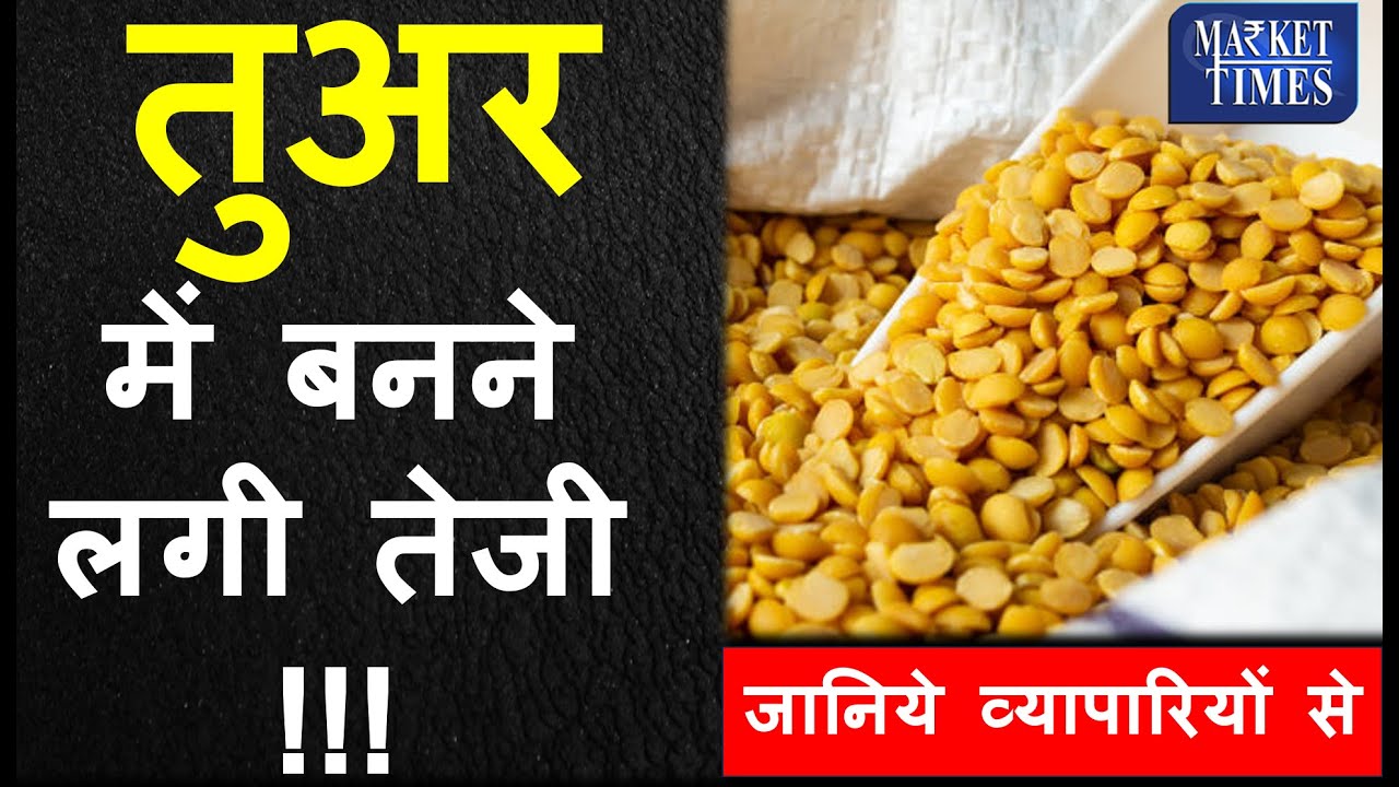 तुअर में बनने लगी तेजी !!! Tur will bounce | Tur daal | Daal | Pulses ...