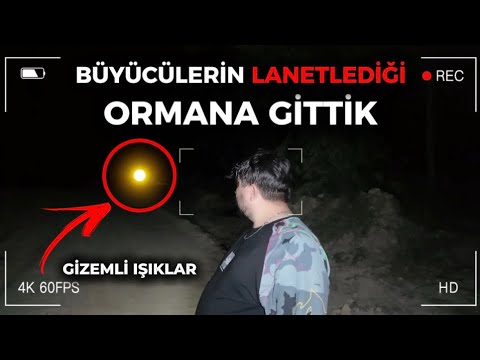 BÜYÜCÜLERİN LANETLEDİĞİ ORMANA GİTTİK KAN DONDURAN PARANORMAL OLAYLAR (Sahra ile konuştuk)