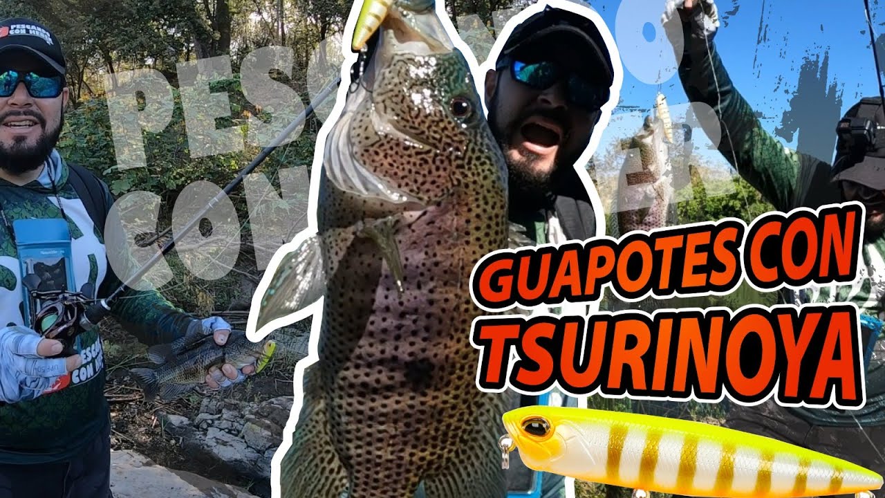 Pescando Guapotes grandes con el Tsurinoya - YouTube