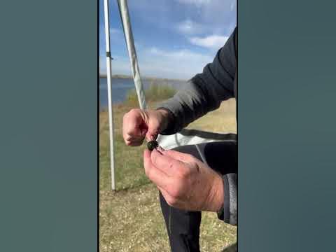 Идеальный поводок на карпа! 😎👌 - YouTube