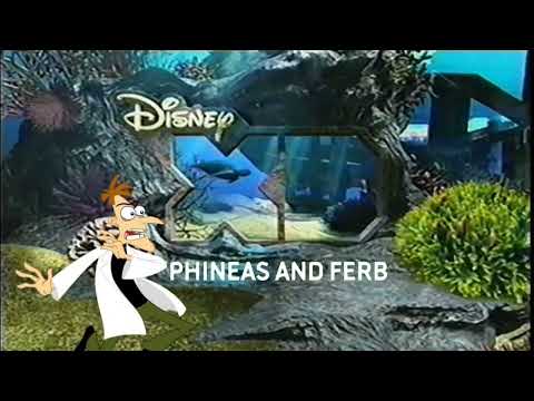 Disney XD Phineas And Ferb WBRB & NBTTS Bumpers (Summer 2011) (HIGH QUALITY RECREATION)
