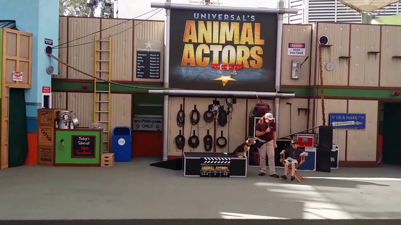 Universal Studios Animal Actors Show! July 18th 2014 Full HD! - YouTube
