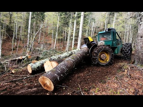 Timberjack 240C! - YouTube