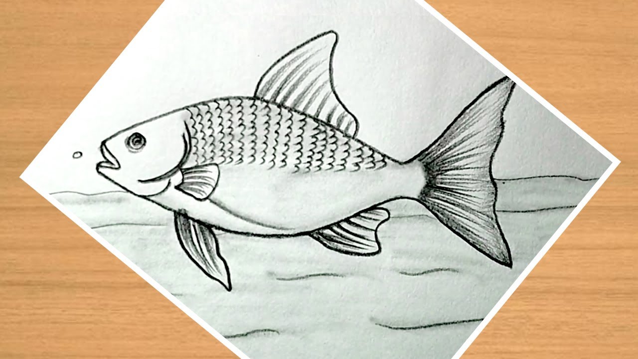 How to Draw a Fish in Water: Easy Pencil Sketch Tutorial | Drawing ...