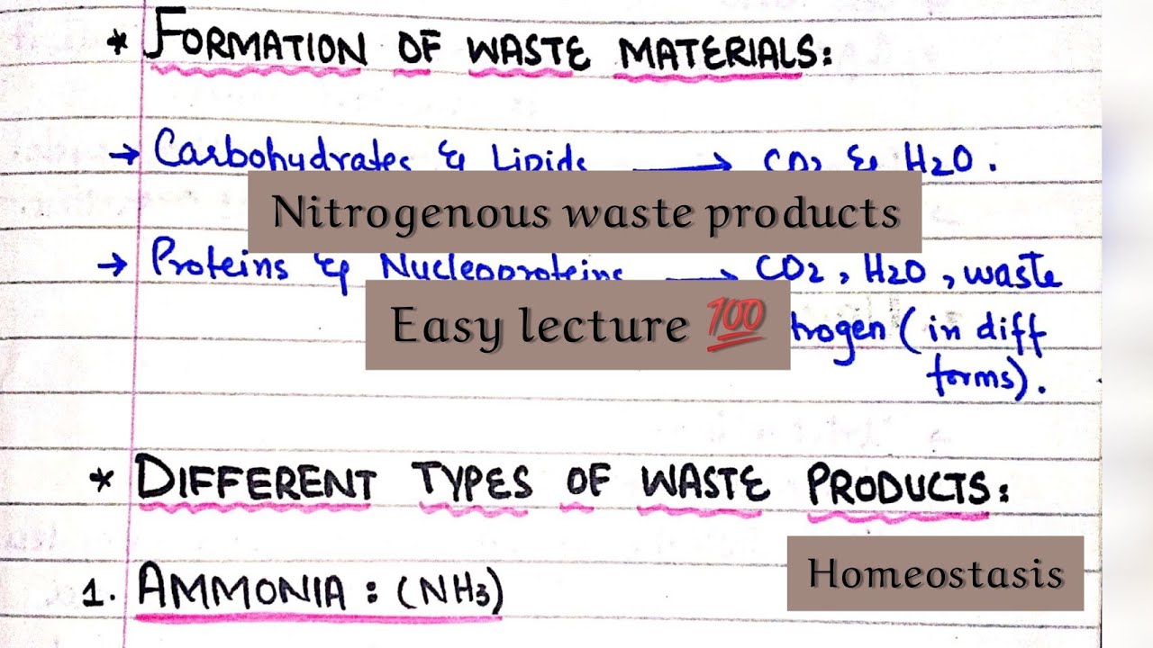 Excretion | Different types of waste products in animals | Nitrogenous ...