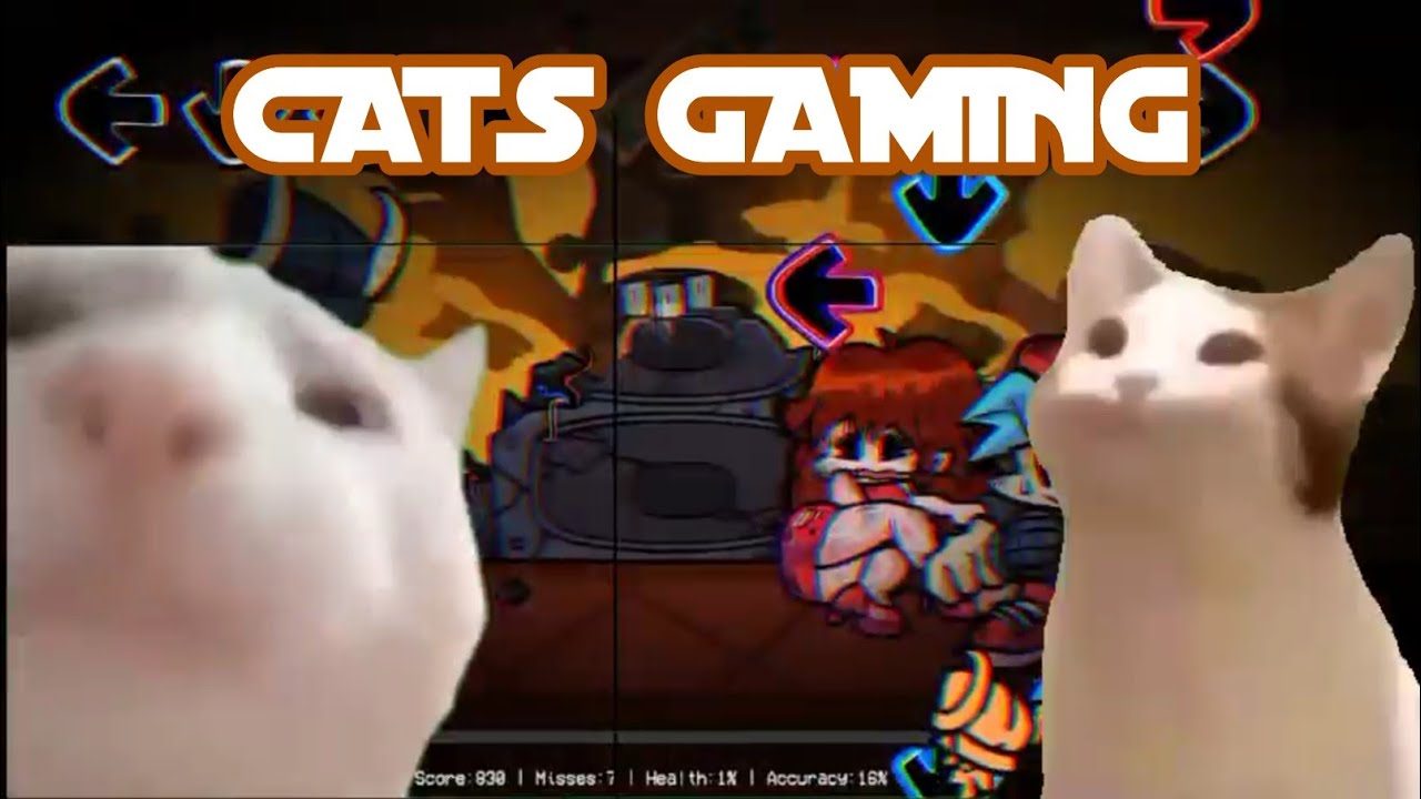 Vibing cat VS Pop cat ( Friday night funkin ) - YouTube