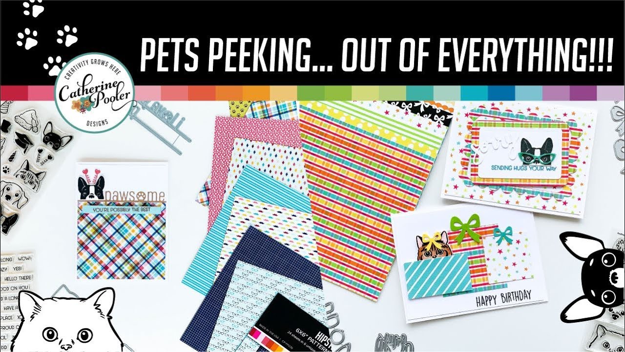 Peeking Pets Card Making - YouTube