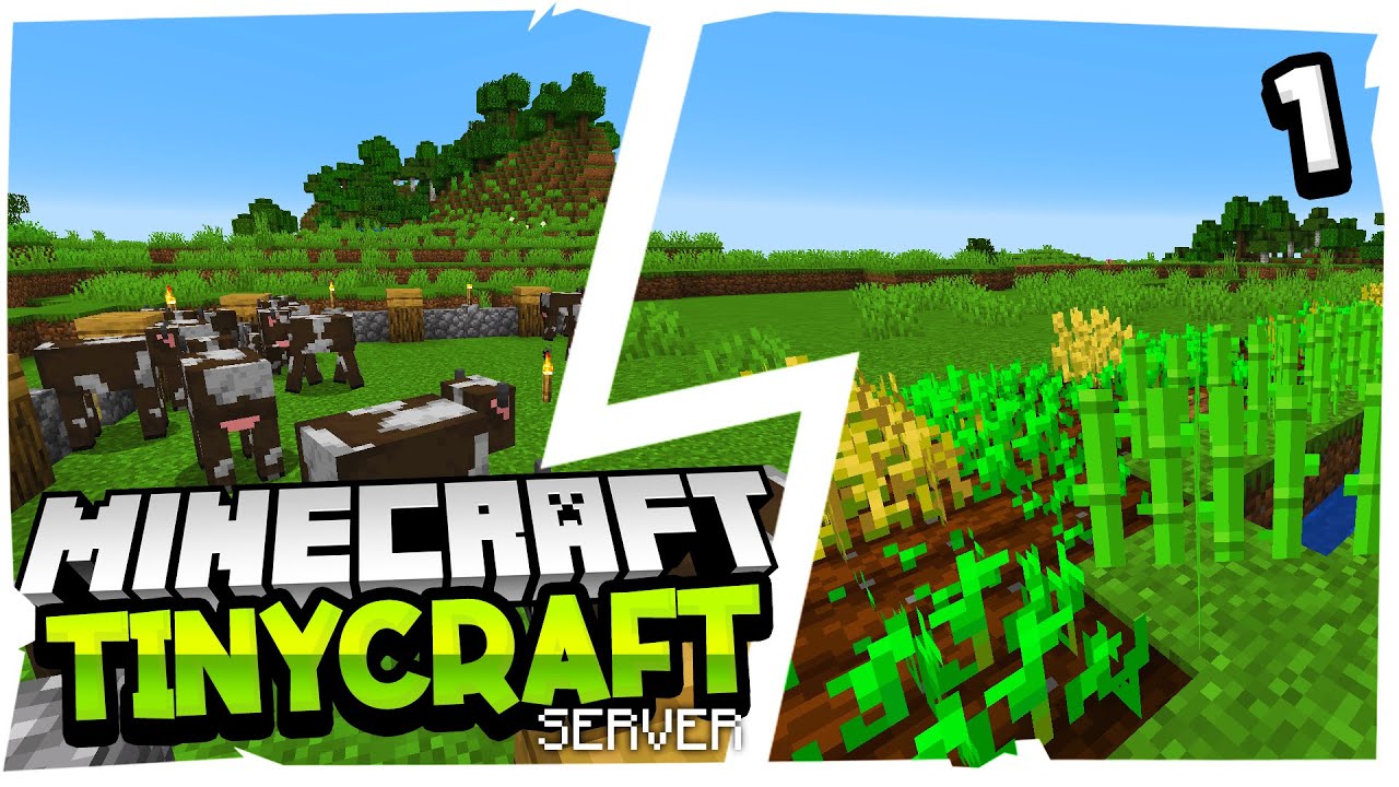 Welcome to TinyCraft! (Minecraft Member Server - Episode #1) - YouTube