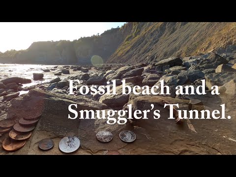 Silver and Fossils, in Robin Hood's Bay. Fossil hunting and Mudlarking ...