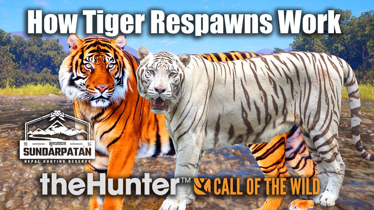 New Update - How Tiger Respawns Work ! - theHunter Call Of The Wild ...