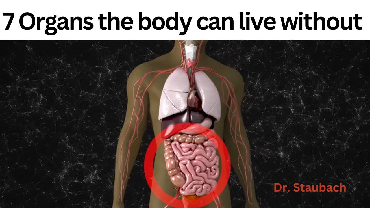 The surprising Organs You Can Live Without - YouTube