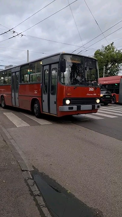 Ikarus 280T(GVM)fordul🤩 #bkk #bkv #busz #ikarus #travel - YouTube