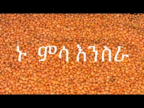 tebeb tube (ጥበብ) sta trasmettendo dal vivo. - YouTube