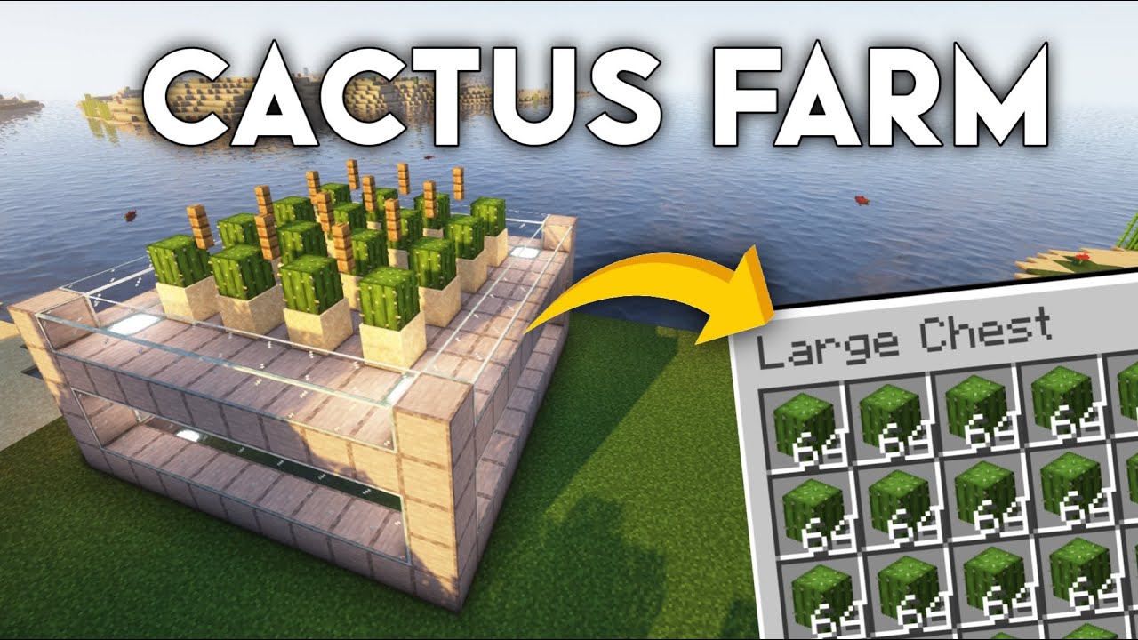 Automatic Cactus Farm in Minecraft 1.20 | Tutorial | #Zyloch - YouTube