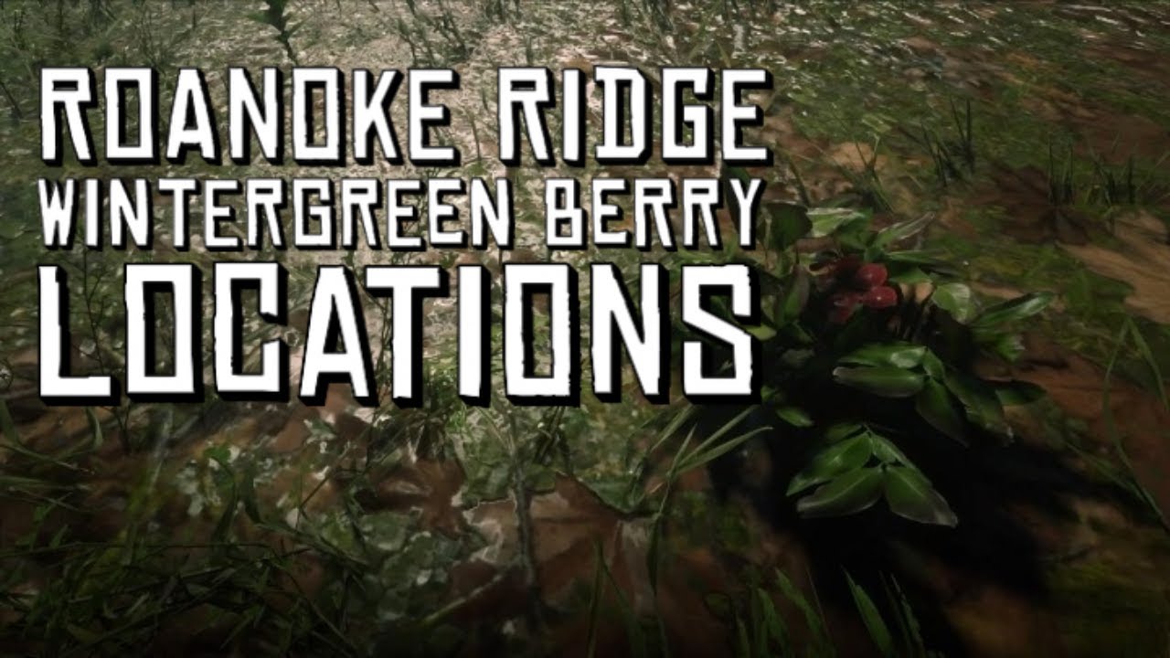 Red Dead Online - Roanoke Ridge Wintergreen Berry Locations - YouTube