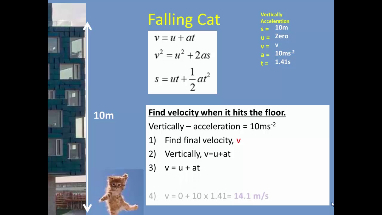 2 suvat cat examples - YouTube
