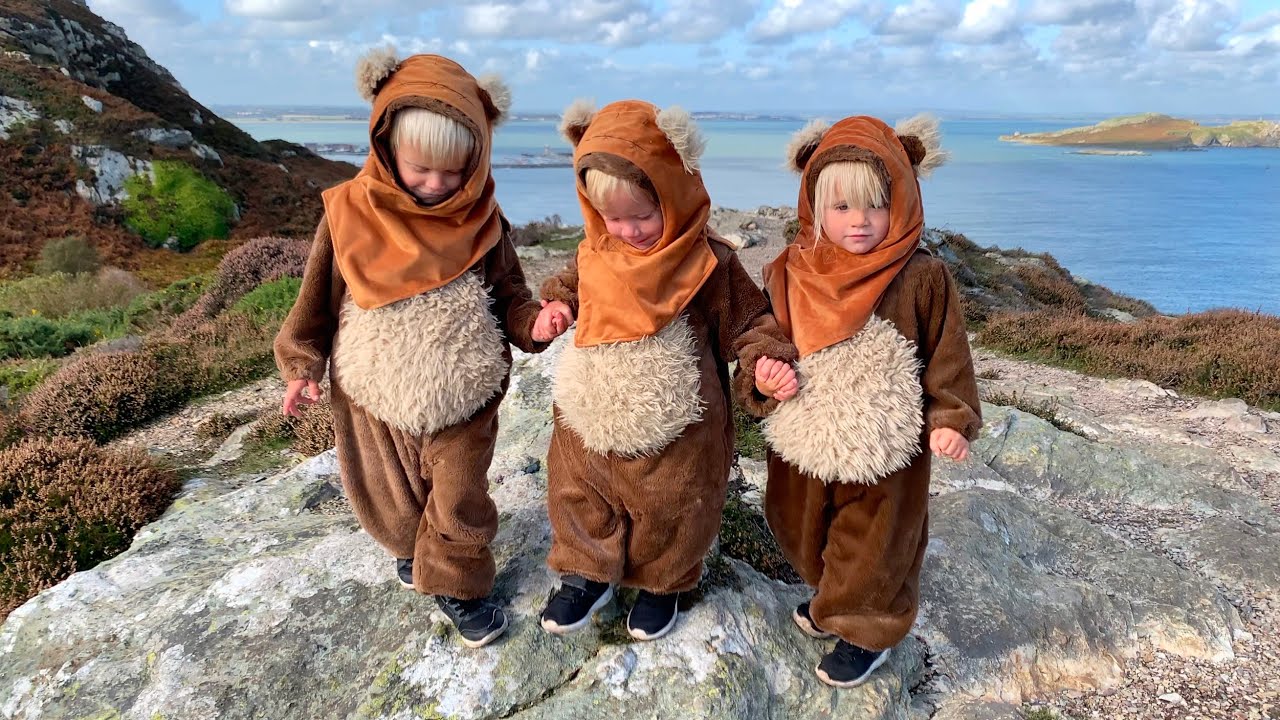 EWOKS IN THE WILD - YouTube