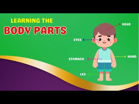 Learn Body Parts for Kids | Fun & Easy Head to Toe Learning! 🎉👶 ...