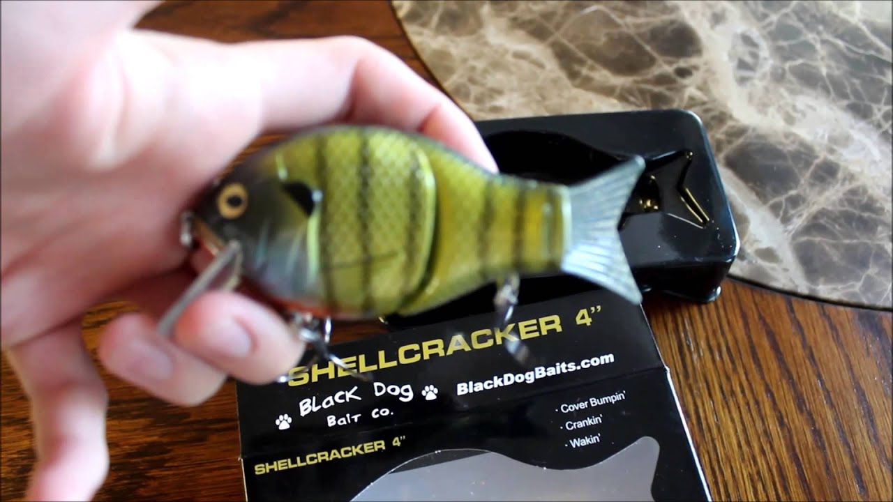 Black Dog Bait Shellcracker G2 - YouTube