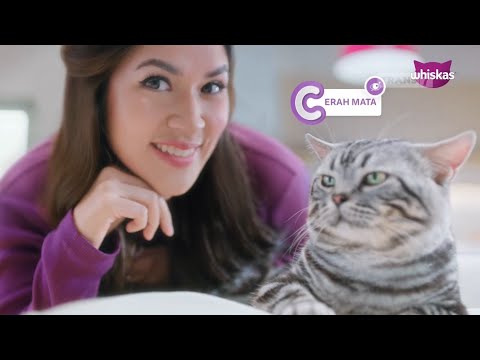 Whiskas x Raisa • ABC Anabul Sehat • TVC Edisi 2025 • Iklan Indonesia ...