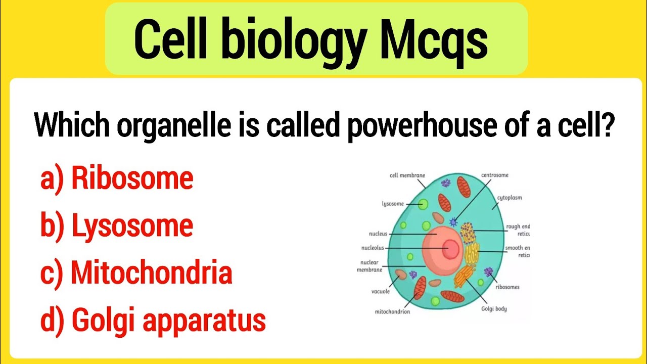 cell biology mcq | Cell mcq | cytology mcq | biology mcq - YouTube