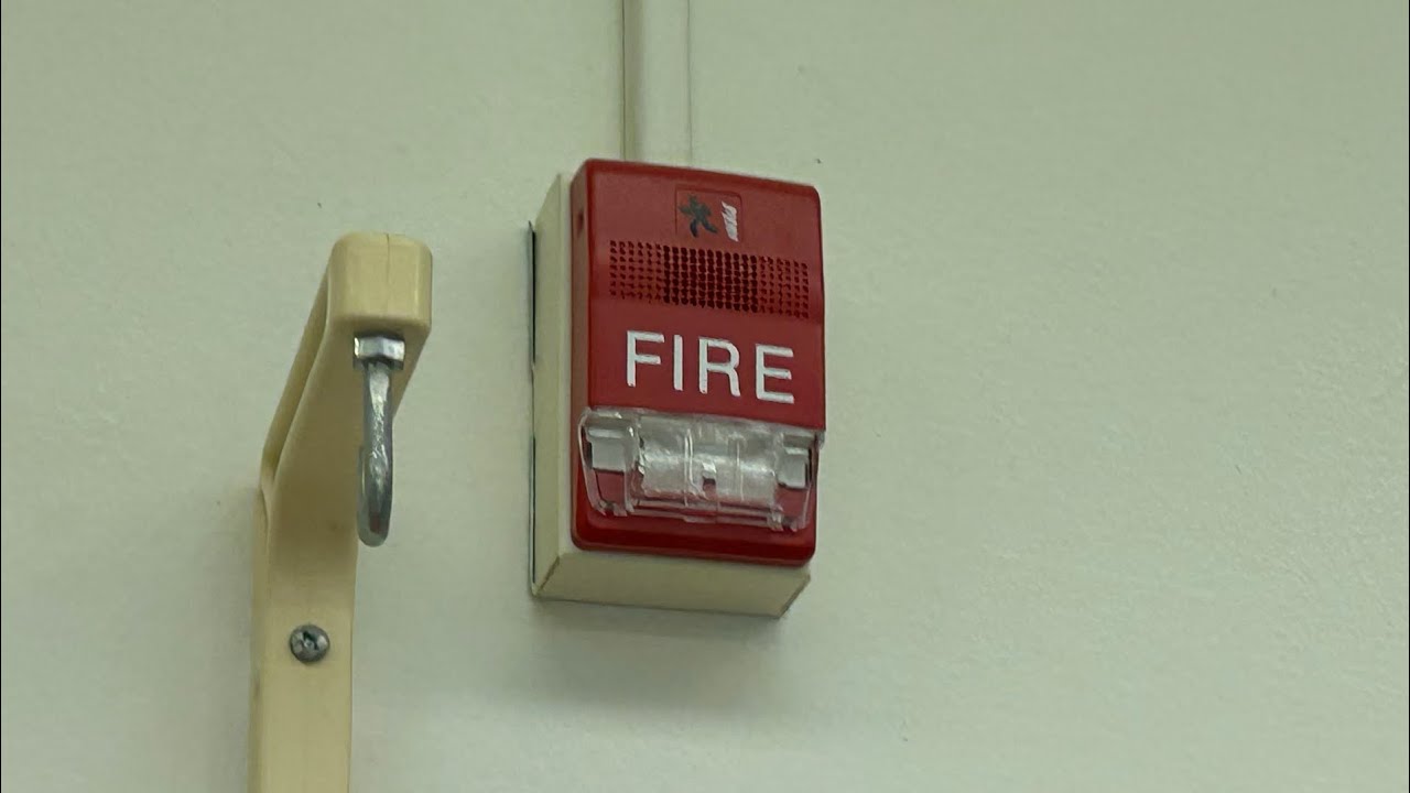 school fire drill audio - YouTube