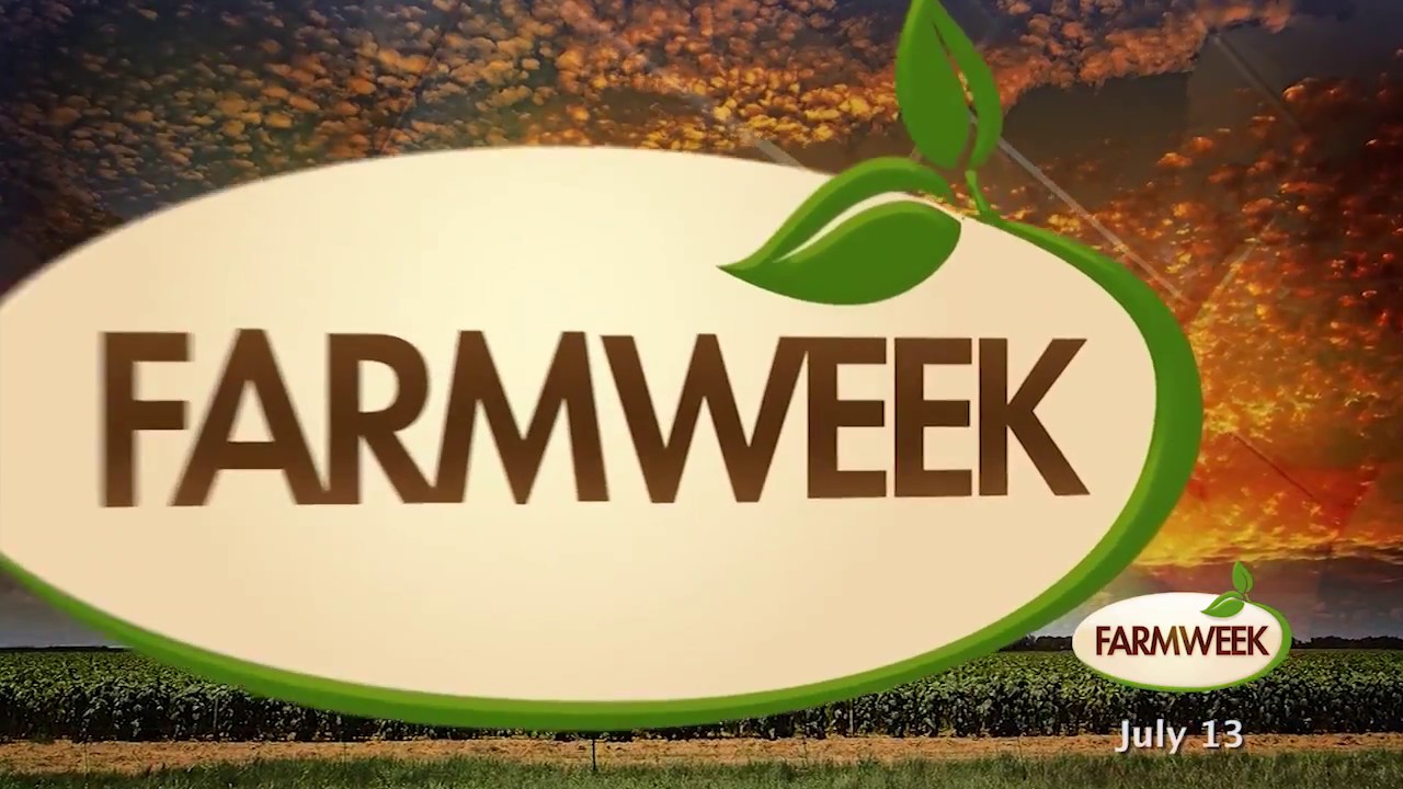 Farmweek | Entire Show | July 13, 2017 - YouTube