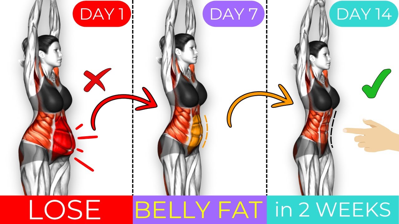 Lose Hanging Belly FAST | Beginner Standing Workout for a FLAT STOMACH ...