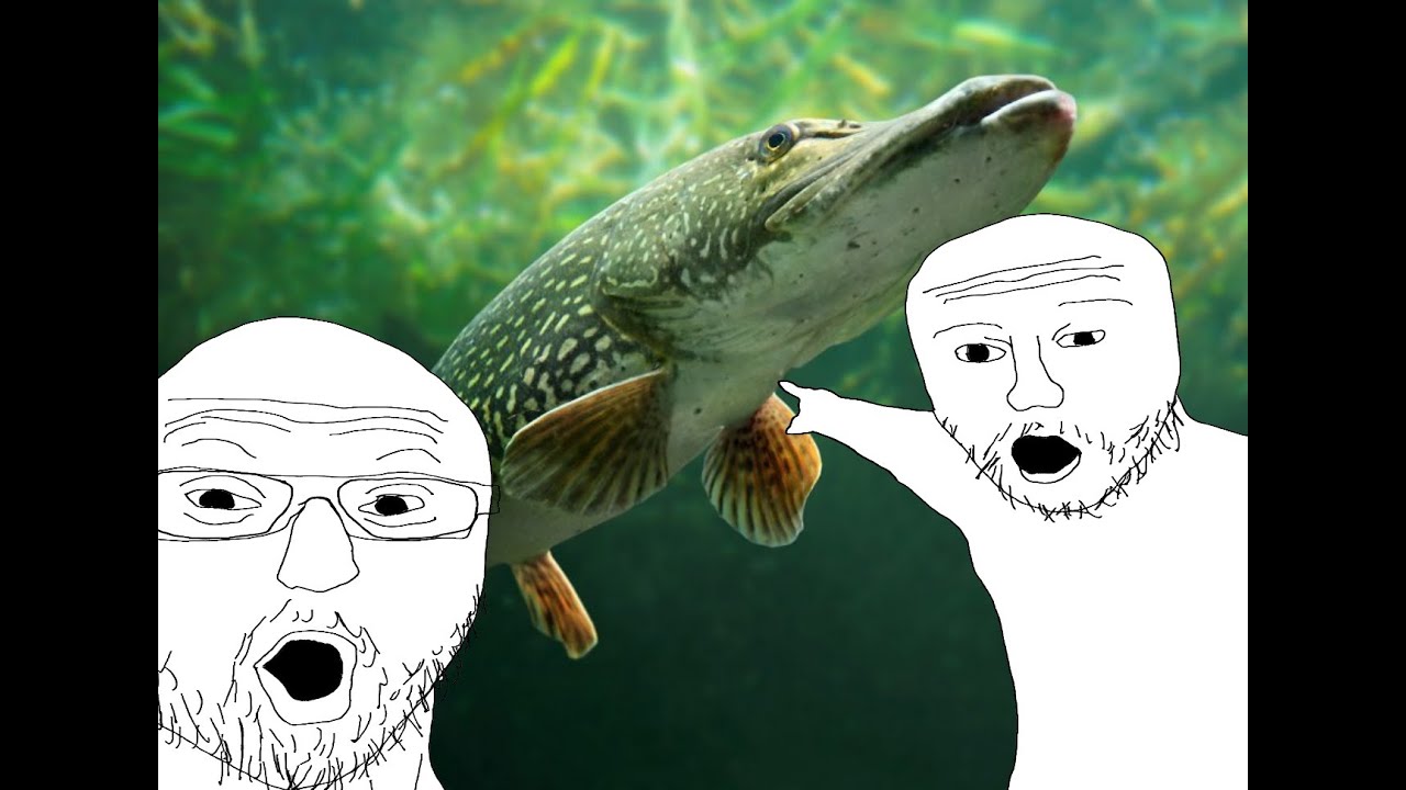 Random bullshit go - YouTube