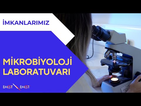 Mikrobiyoloji Laboratuvarı