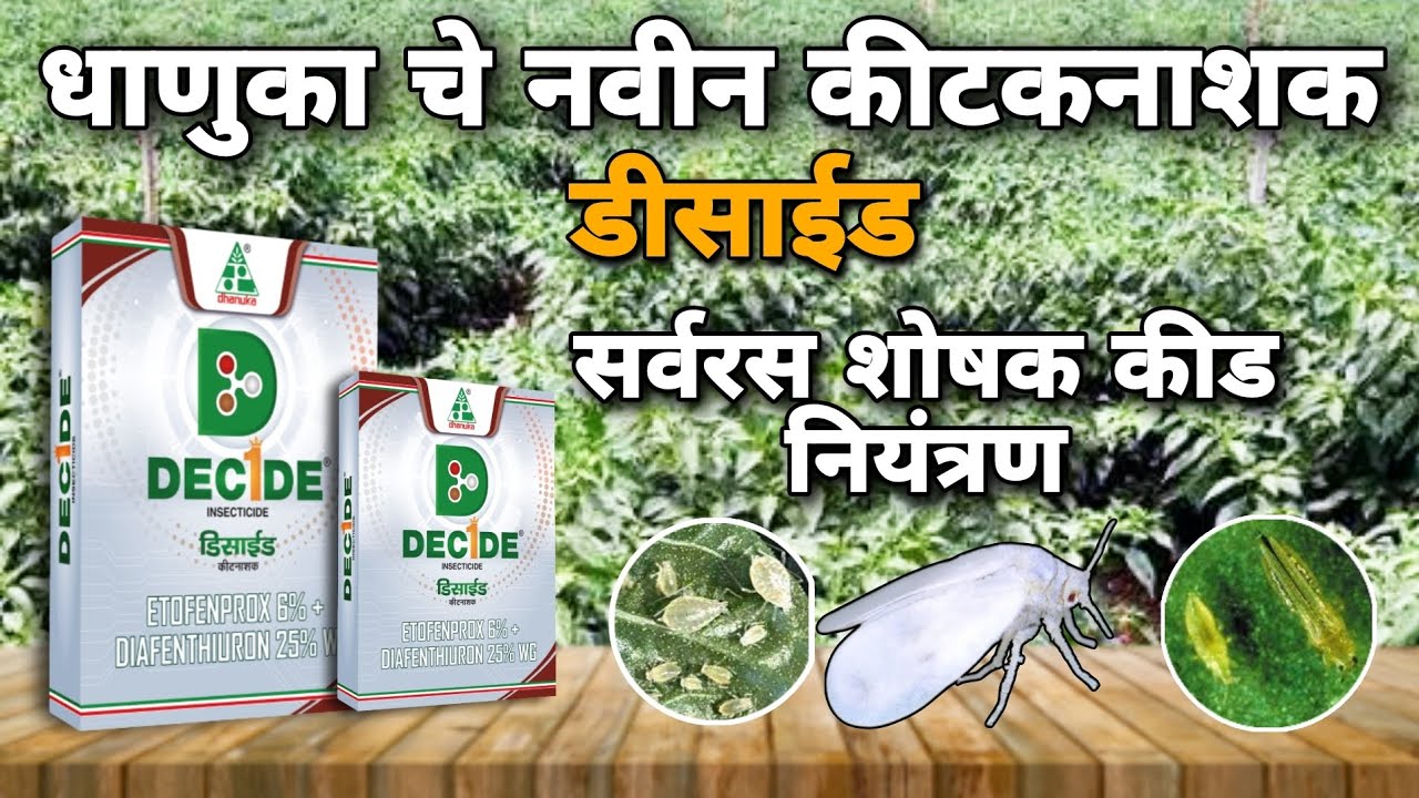 Decide Dhanuka Insecticide | सर्व रसशोषक कीड नियंत्रण एकाच कीटकनाशकात # ...