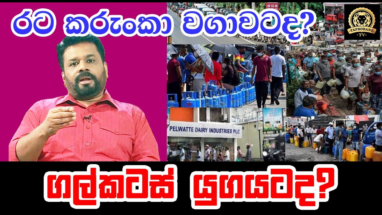 රට කරුංකා වගාවටද?ගල්කටස් යුගයටද? | BUKIYE WISTHARE | TAPROBANE TV - YouTube
