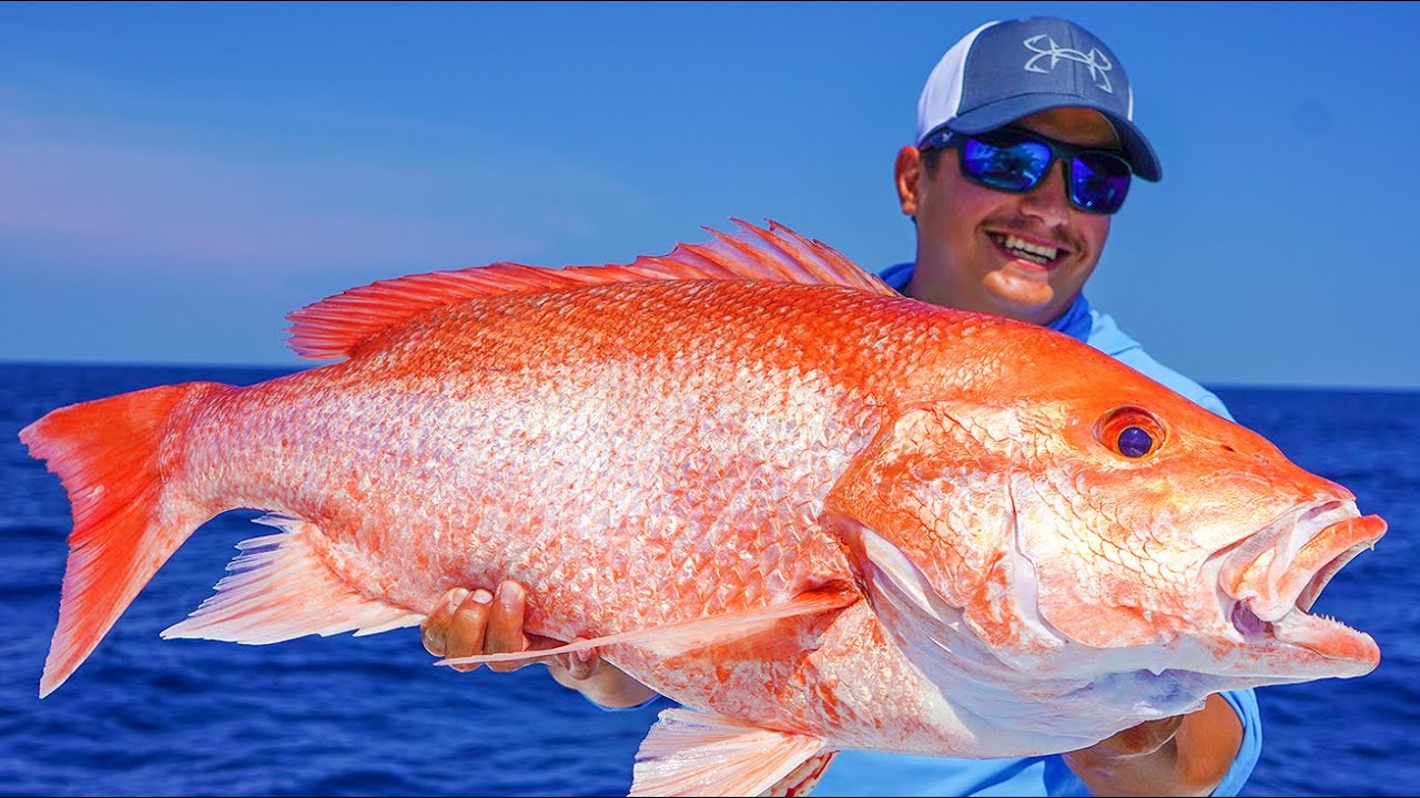 Slow Pitch Jigging for GIANT Red Snapper in Alabama! - YouTube