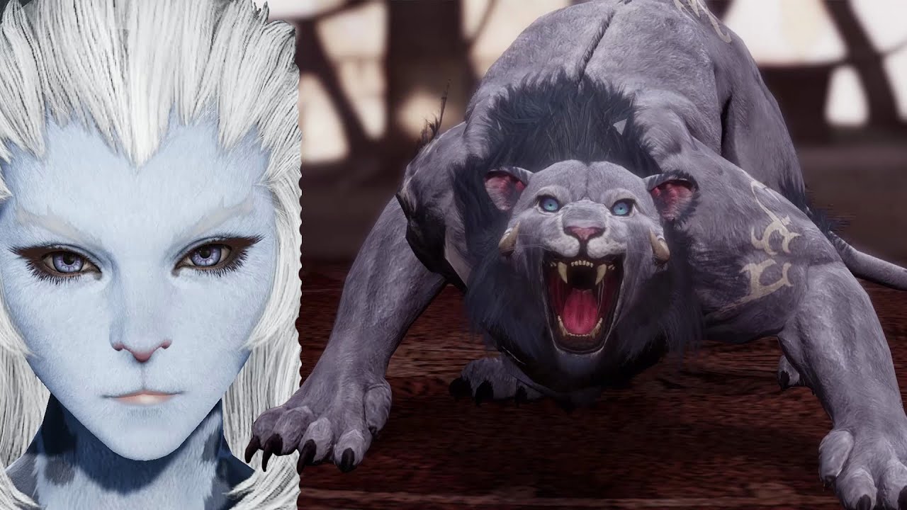 Bless Online KR - Pantera Berserker - Starting area gameplay - YouTube