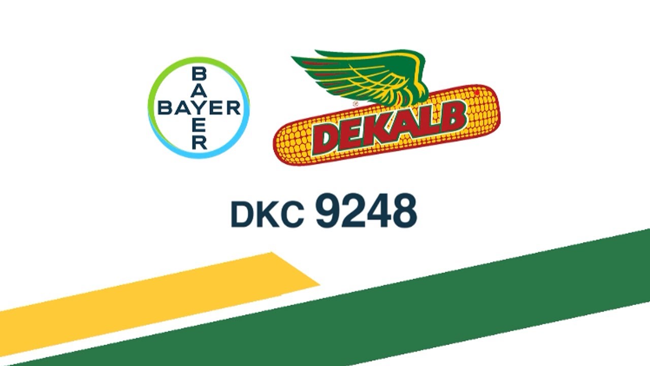 Dekalb 9248 - Key USPs of Dekalb 9248 (English) | Bayer Crop Science ...