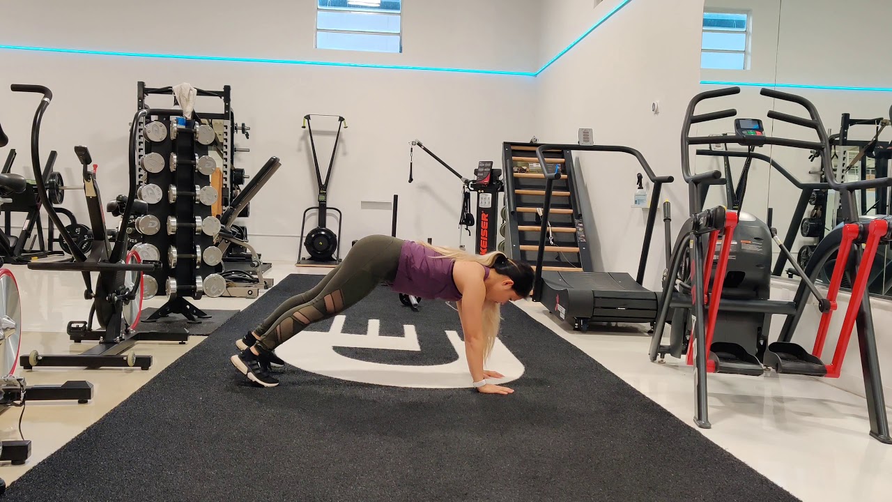 Alternating Arm Leg Reach from Plank - YouTube