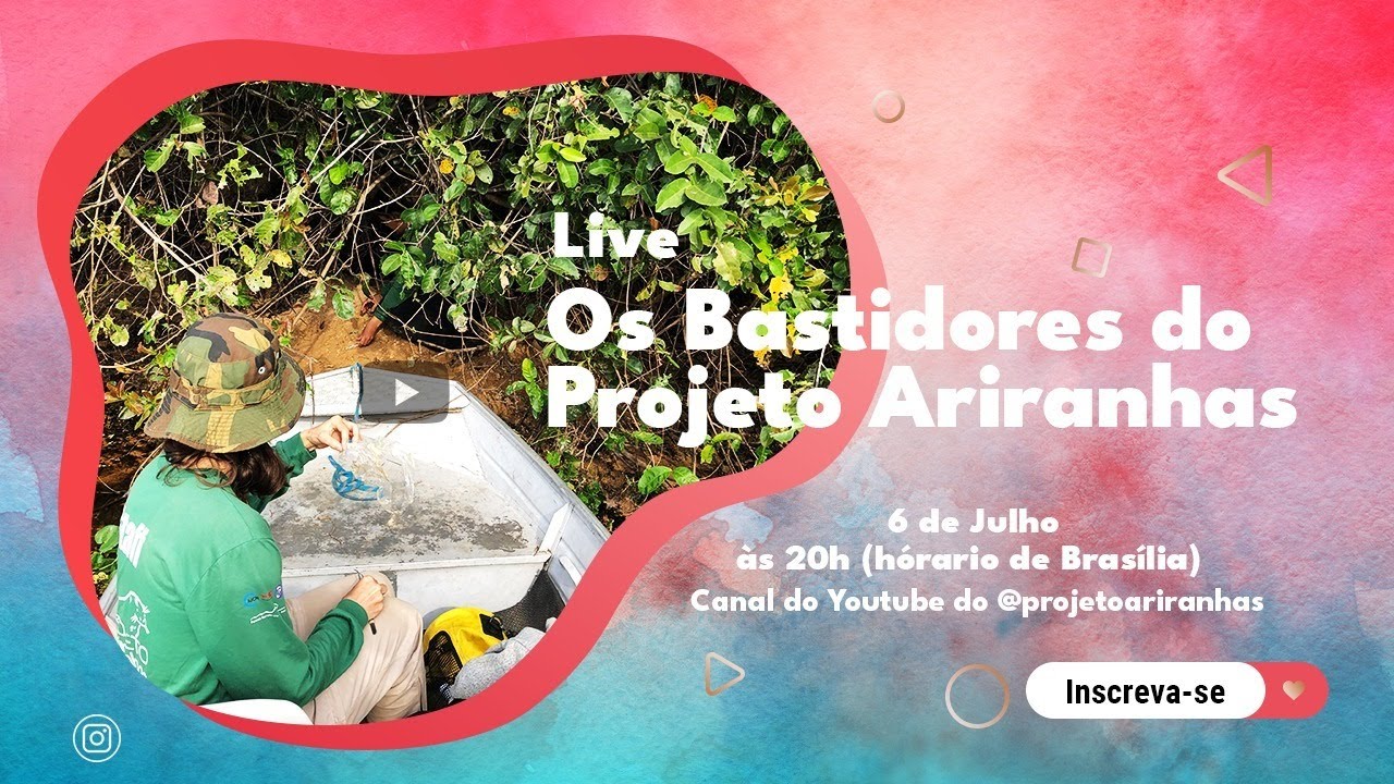 Os bastidores do Projeto Ariranhas - YouTube
